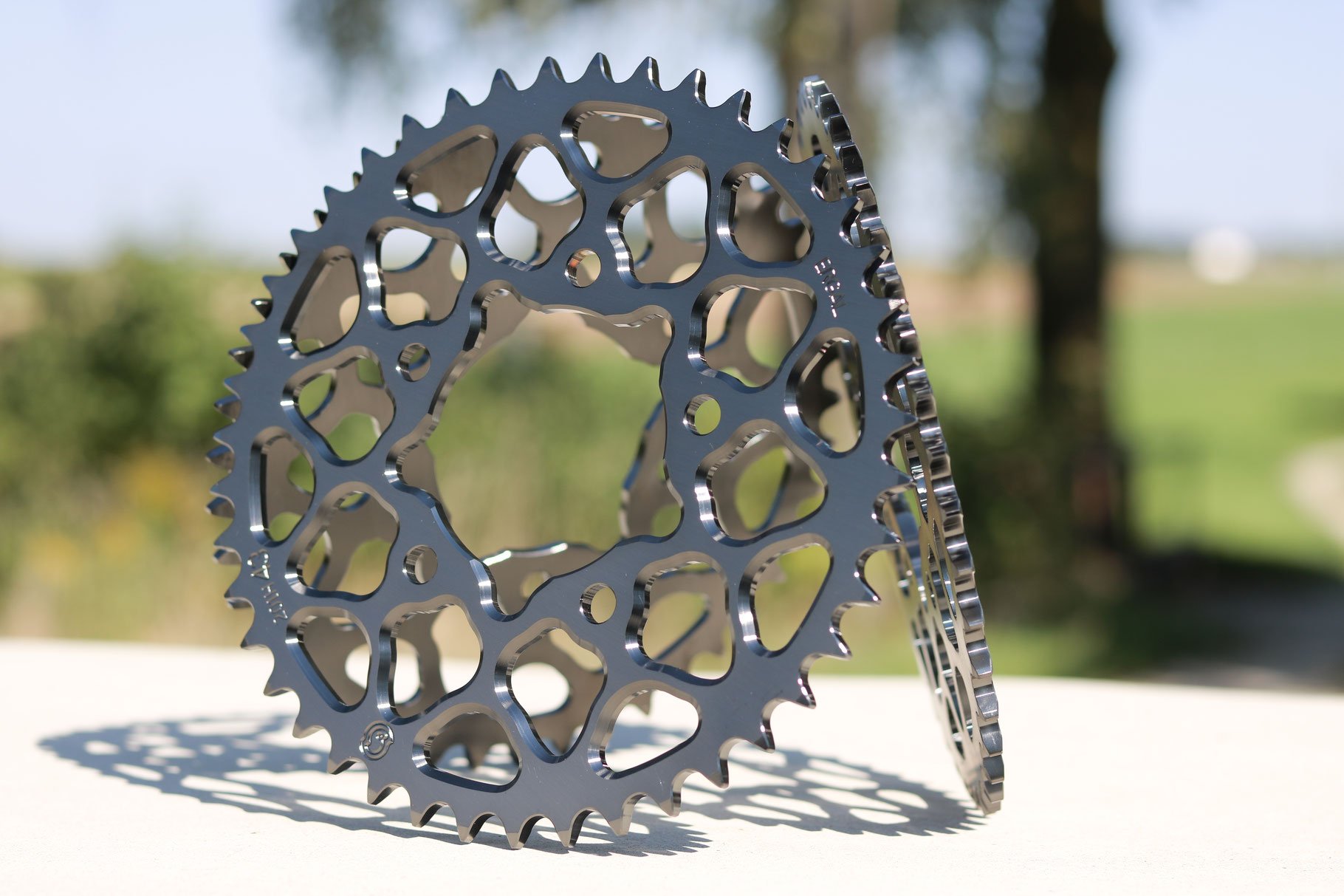 SITTA - ERGAL MOTORCYCLE REAR SPROCKETS